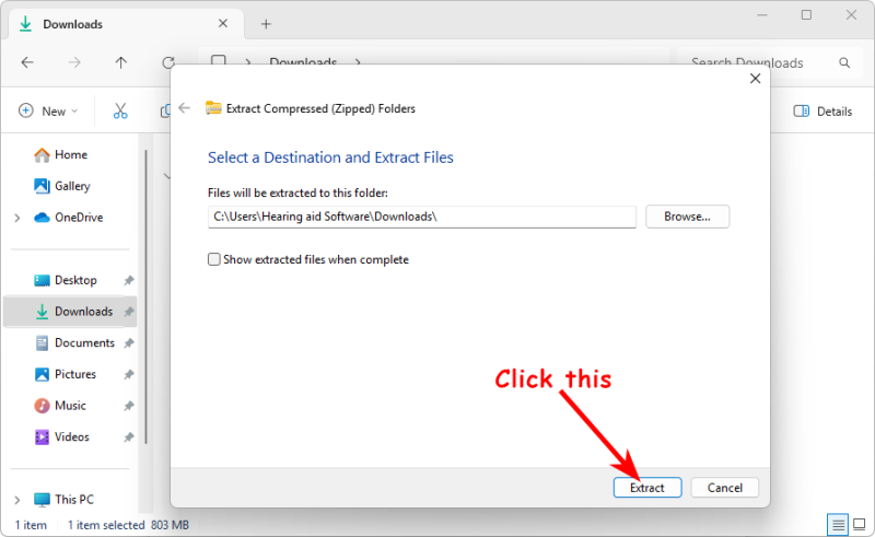Signia Connexx Installation Guide - Hearing aid Software